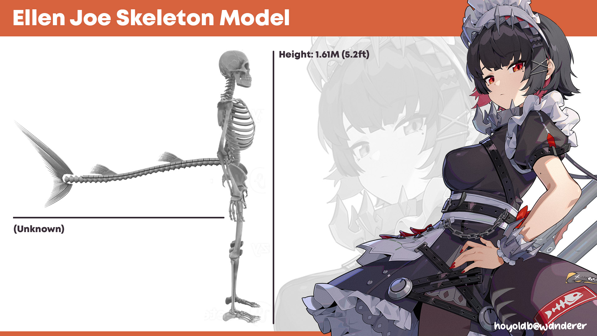 Is Ellen's Tail Real? Zenless Zone Zero | HoYoLAB