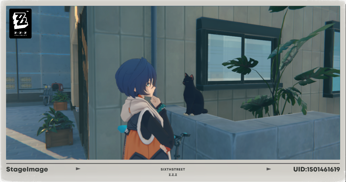 Кошечка Zenless Zone Zero | HoYoLAB