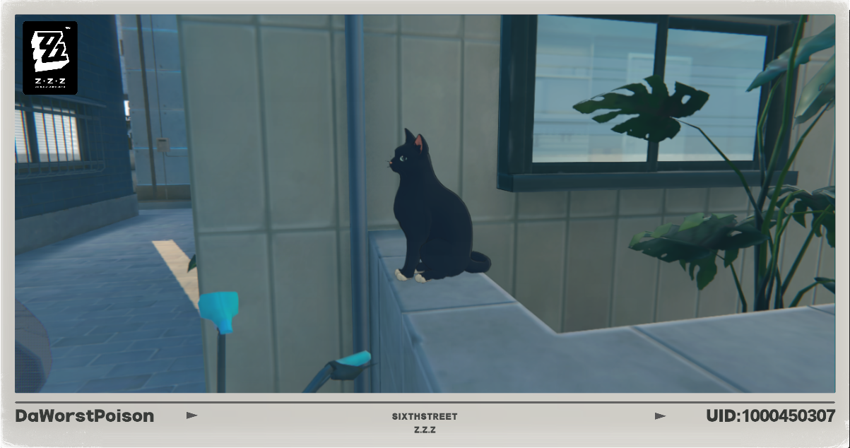 I shall now die for this cat Zenless Zone Zero | HoYoLAB