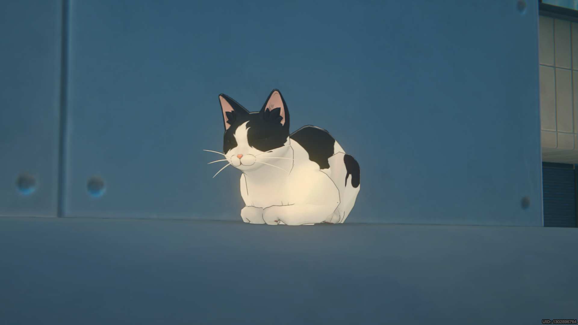 Zenless Cats !! Zenless Zone Zero | HoYoLAB