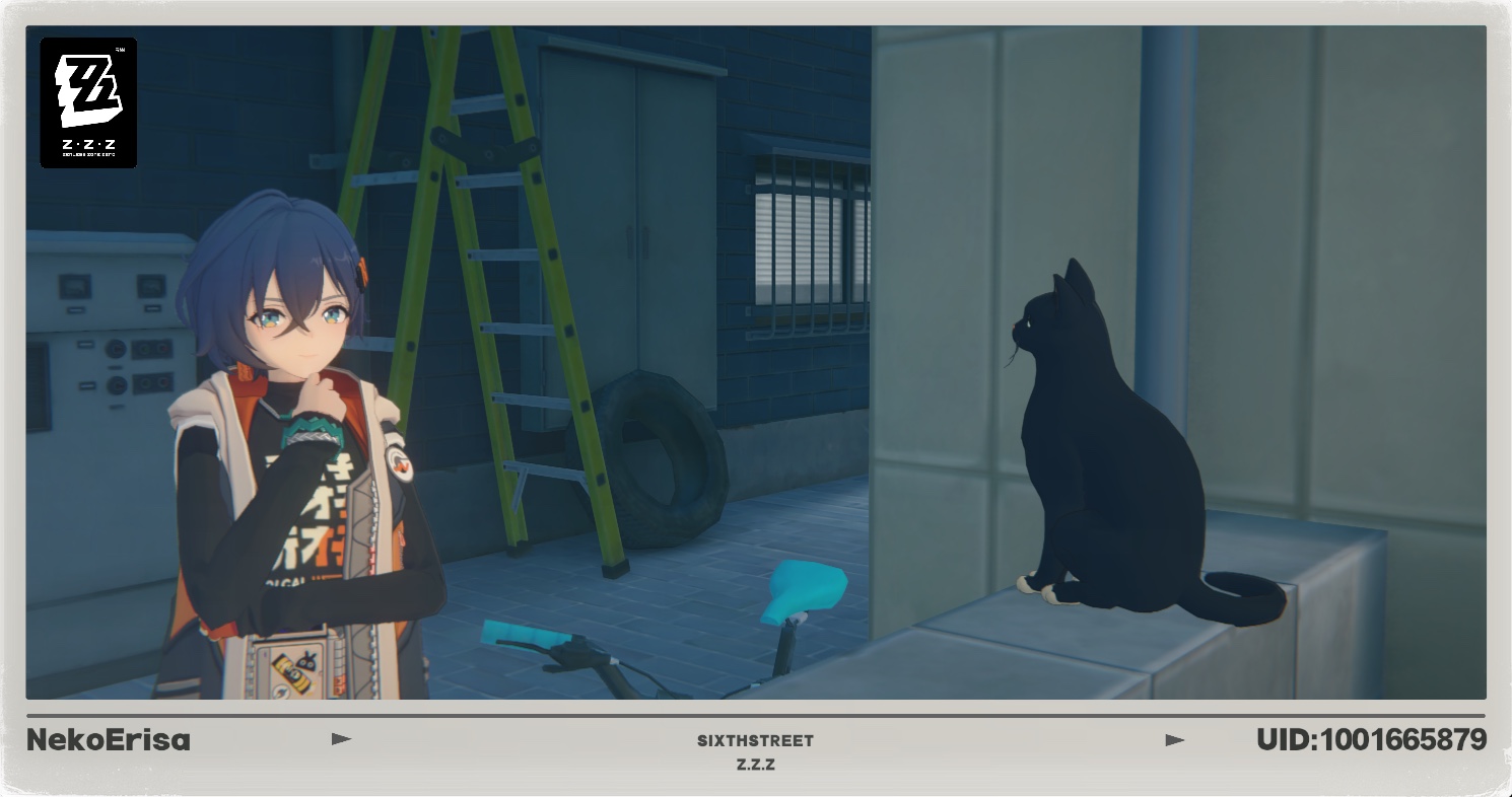 The cat Zenless Zone Zero | HoYoLAB