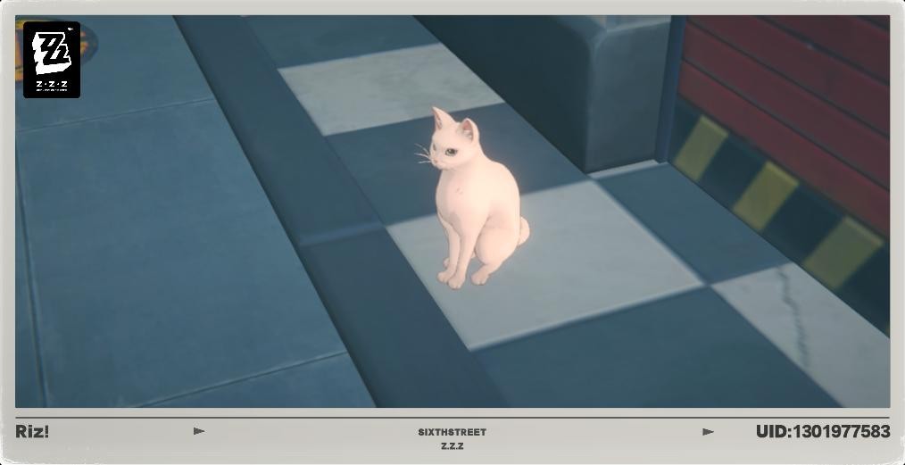 Cats Zenless Zone Zero | HoYoLAB