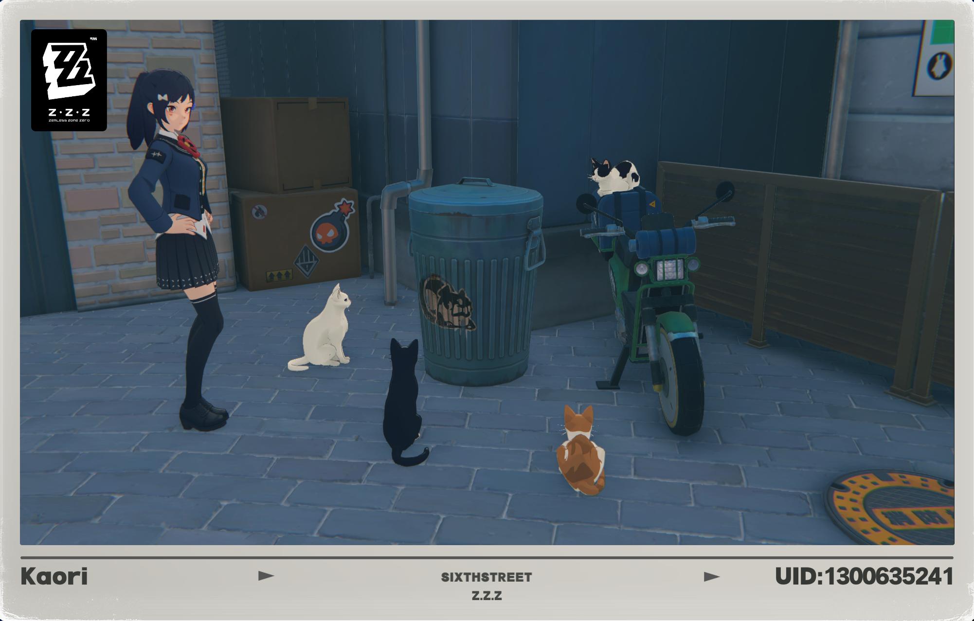 Cat Meeting Zenless Zone Zero | HoYoLAB