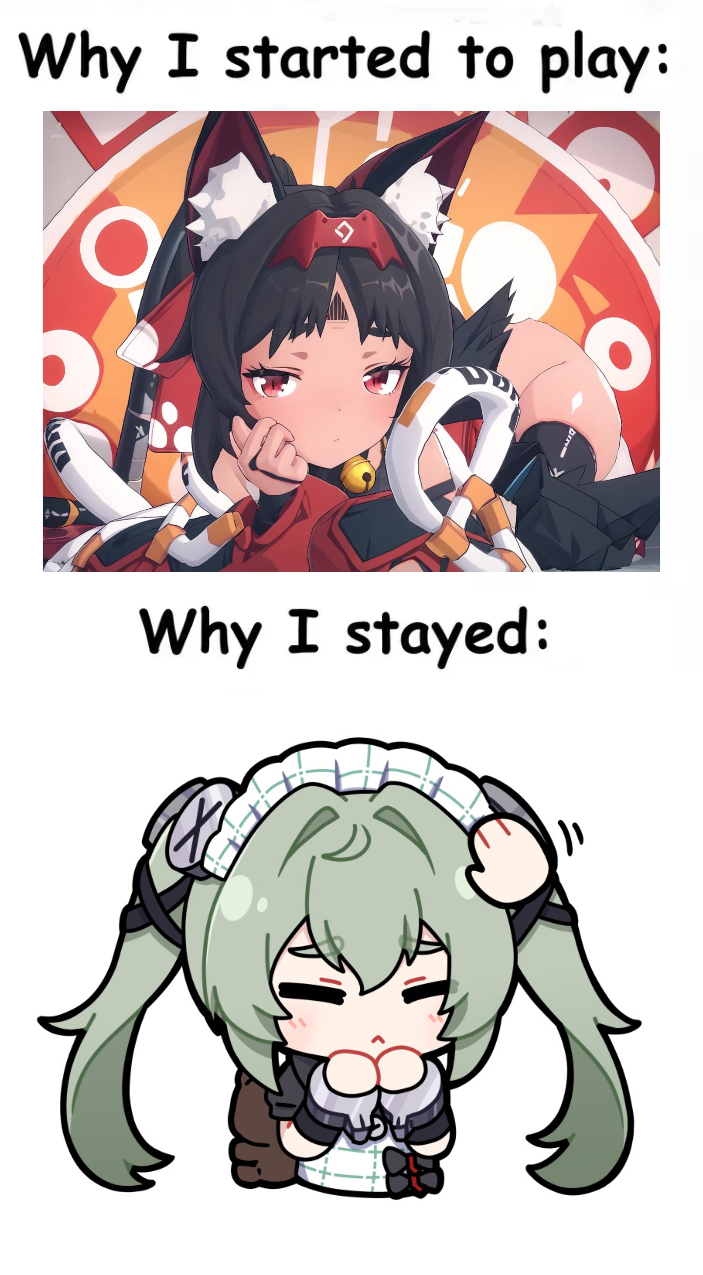 why i stayed meme Zenless Zone Zero | HoYoLAB