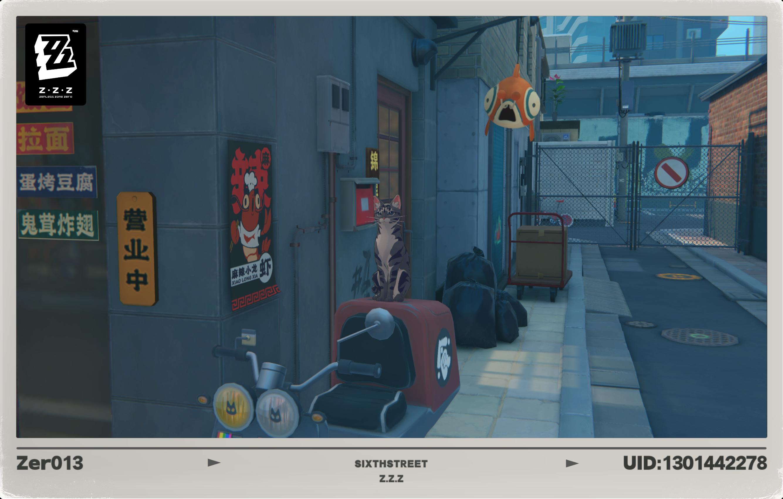 cat Zenless Zone Zero | HoYoLAB