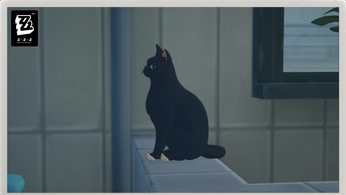 Black Cat Zenless Zone Zero | HoYoLAB