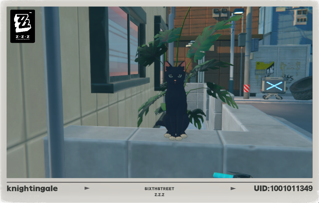 You can pet the cat!!! Zenless Zone Zero | HoYoLAB