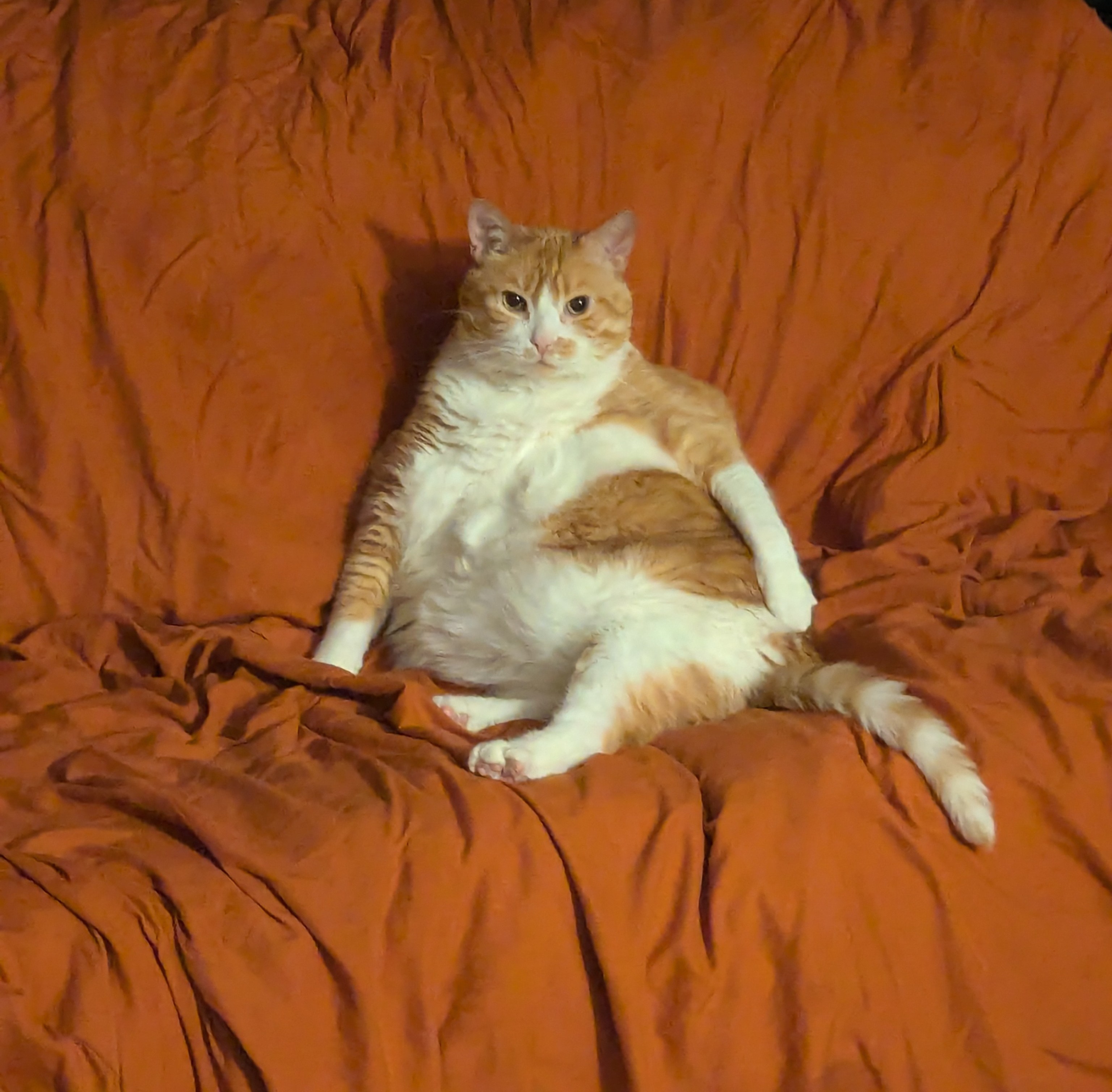 Look at my beautiful, gorgeous, big, fat, pig, whale, baby boy!! 😁 ...