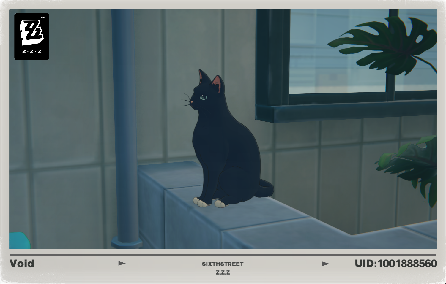 Inky the Cat! Zenless Zone Zero | HoYoLAB