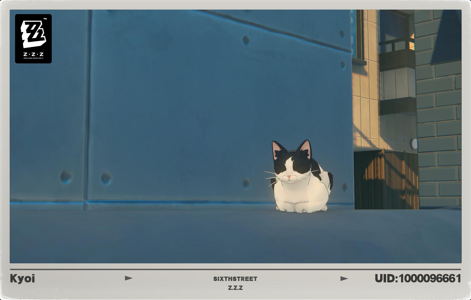 giving in my 2 cents to this event with CATS Zenless Zone Zero | HoYoLAB