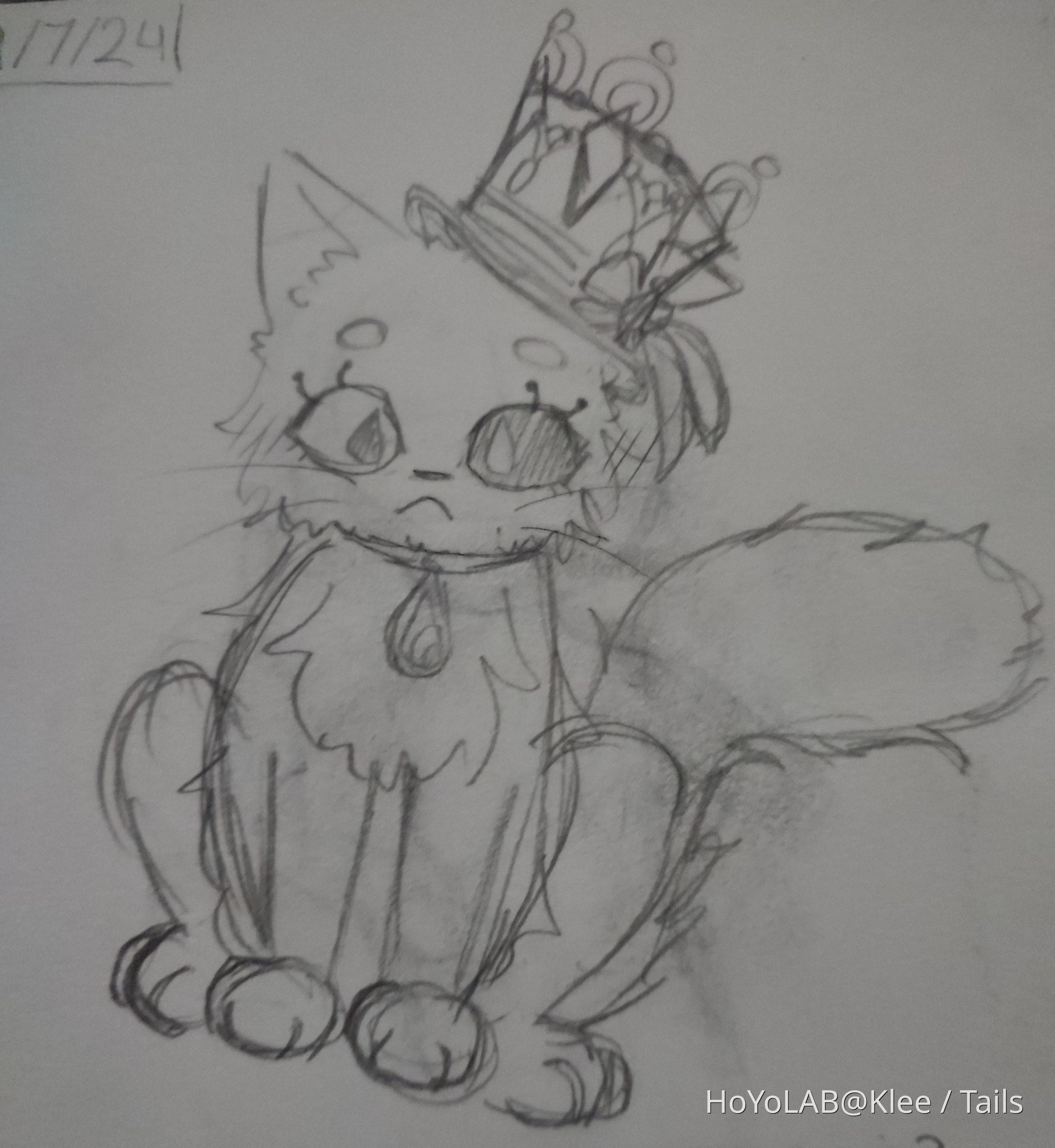 Cat furina Genshin Impact | HoYoLAB