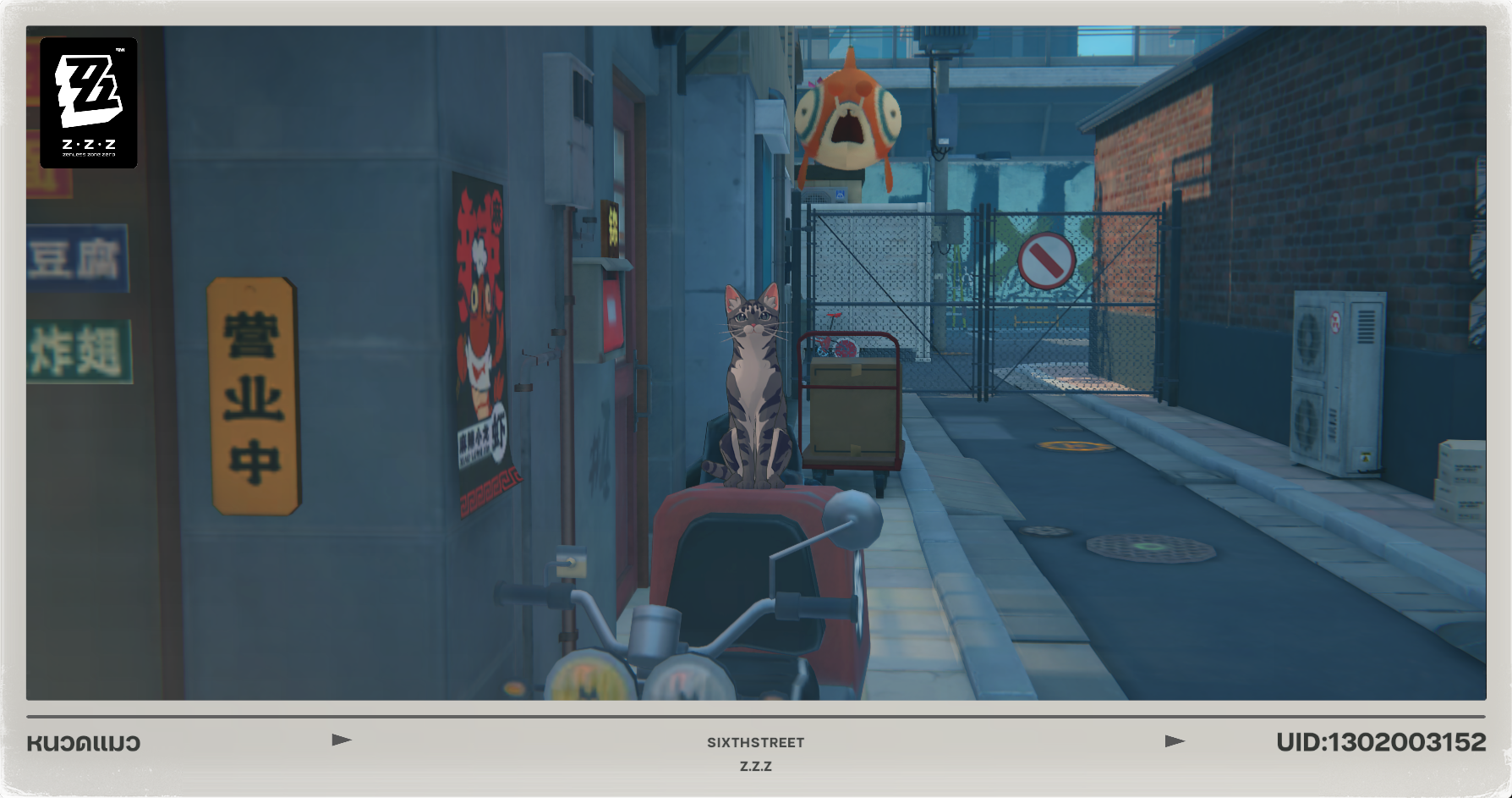 🐈‍⬛ Cookie chan~~~ Zenless Zone Zero | HoYoLAB