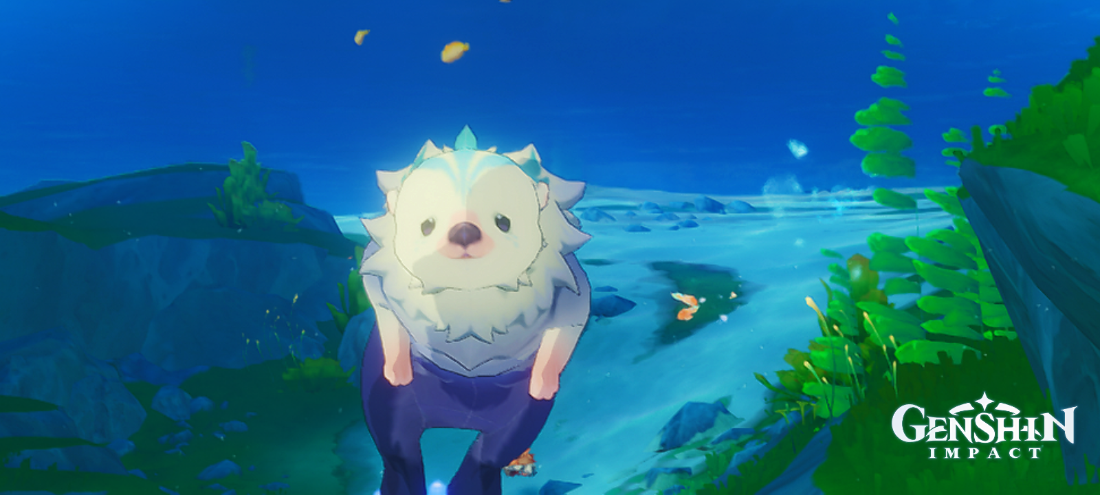 🦦 Otter Genshin Impact | HoYoLAB