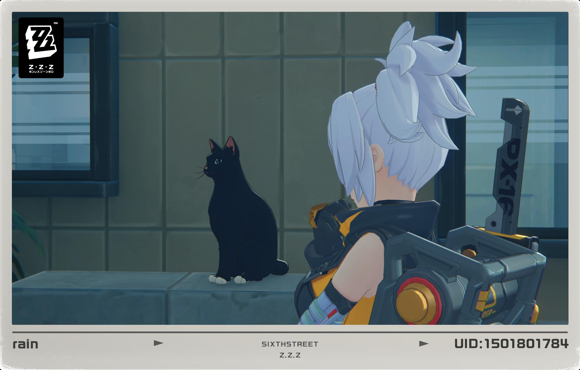 11号とねこ Zenless Zone Zero | HoYoLAB