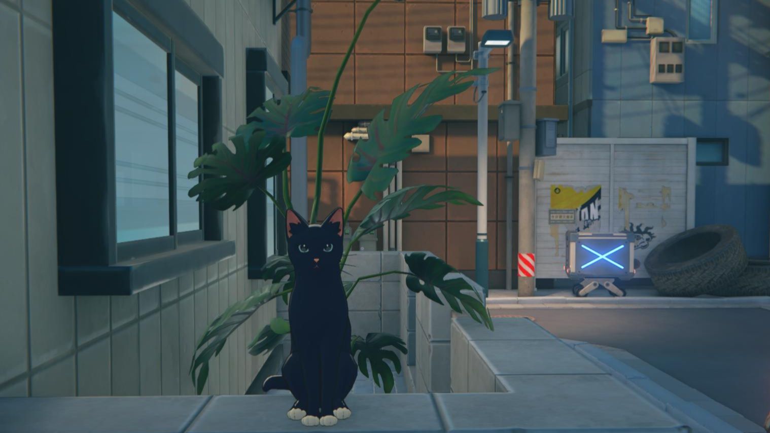 Why are all the cats so perfect?! Zenless Zone Zero | HoYoLAB