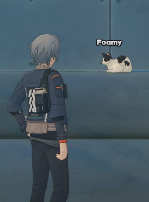 So many cats to pet... Zenless Zone Zero | HoYoLAB