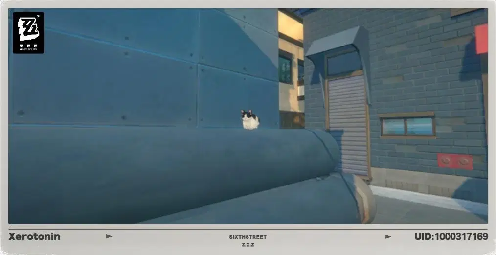Some cute cats Zenless Zone Zero | HoYoLAB