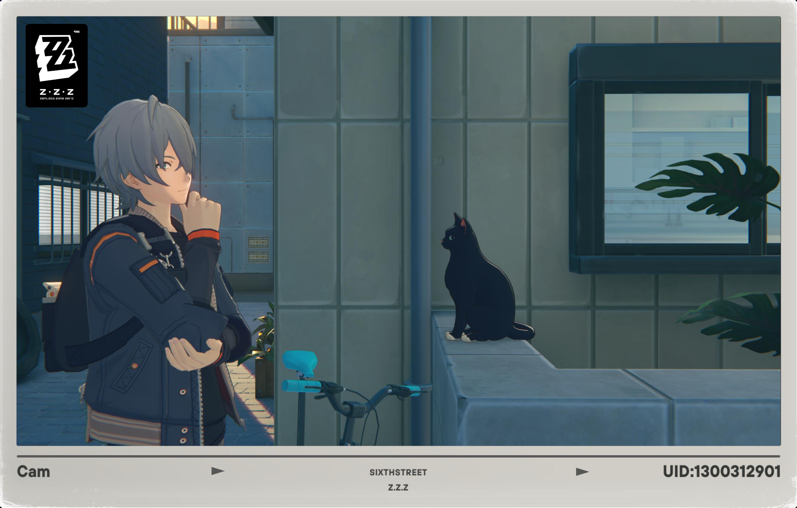 Cat in ZZZ Zenless Zone Zero | HoYoLAB