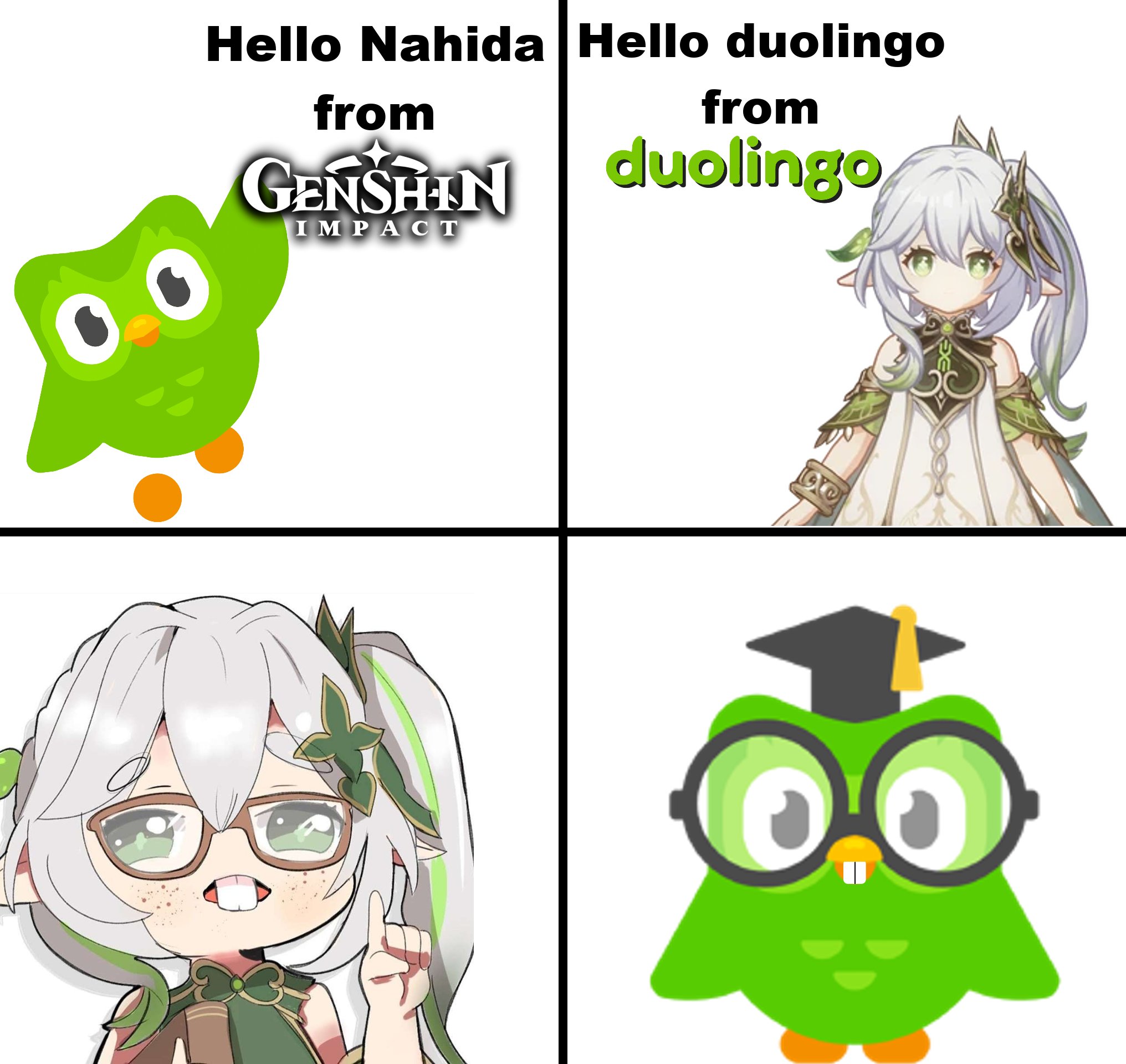 Duolingo say hi to Duolingo Genshin Impact | HoYoLAB
