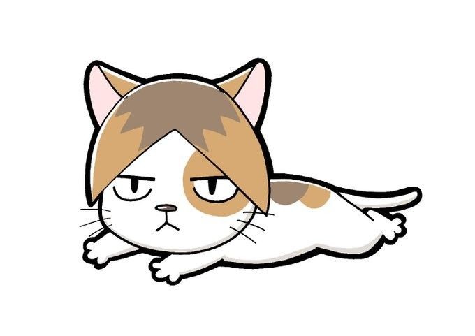 Cat kenma world domination Genshin Impact | HoYoLAB