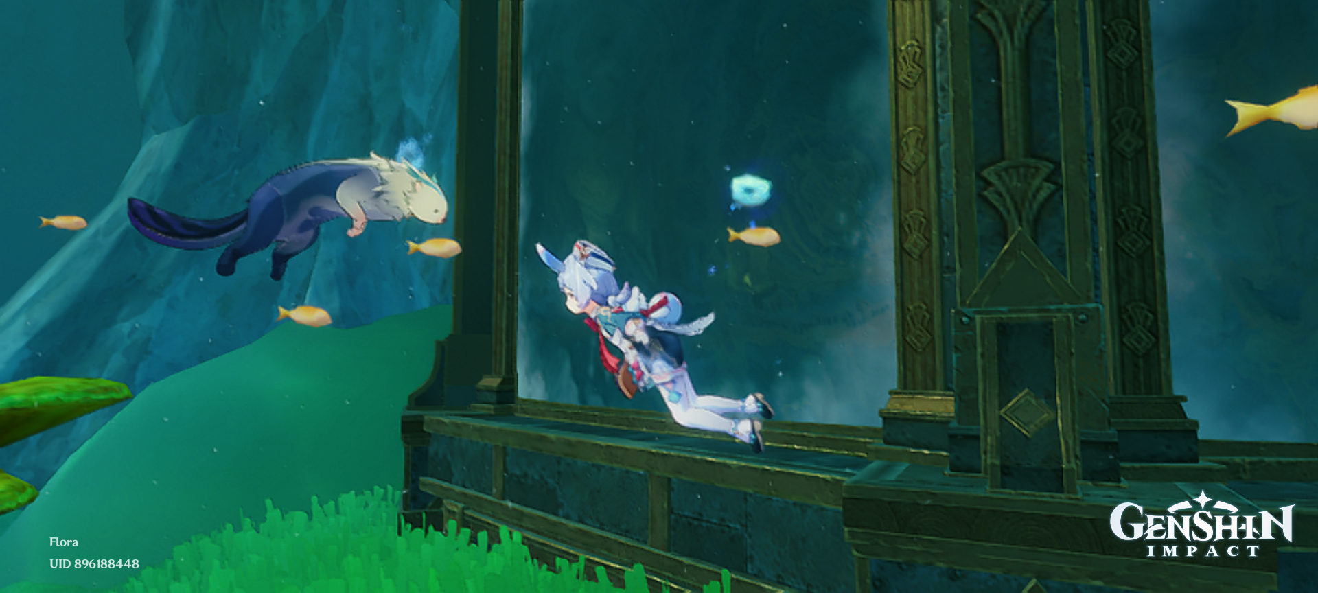 💙🩷Otter and Sigewinnie🩷💙 Genshin Impact | HoYoLAB