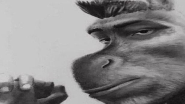 Is it worth saving up master tapes for the standard banner? or is it ...