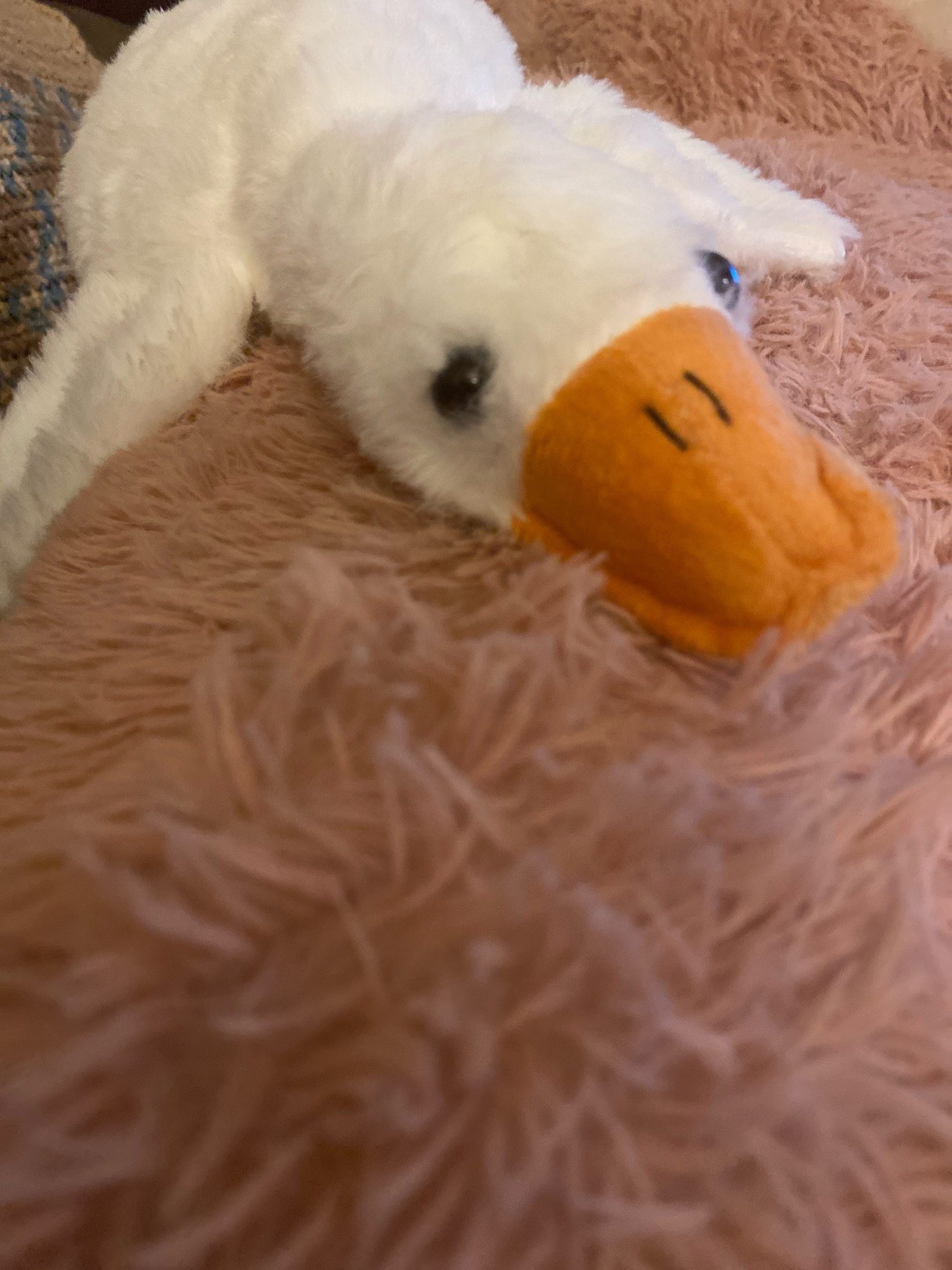 I bought a silly goose :3 | HoYoLAB