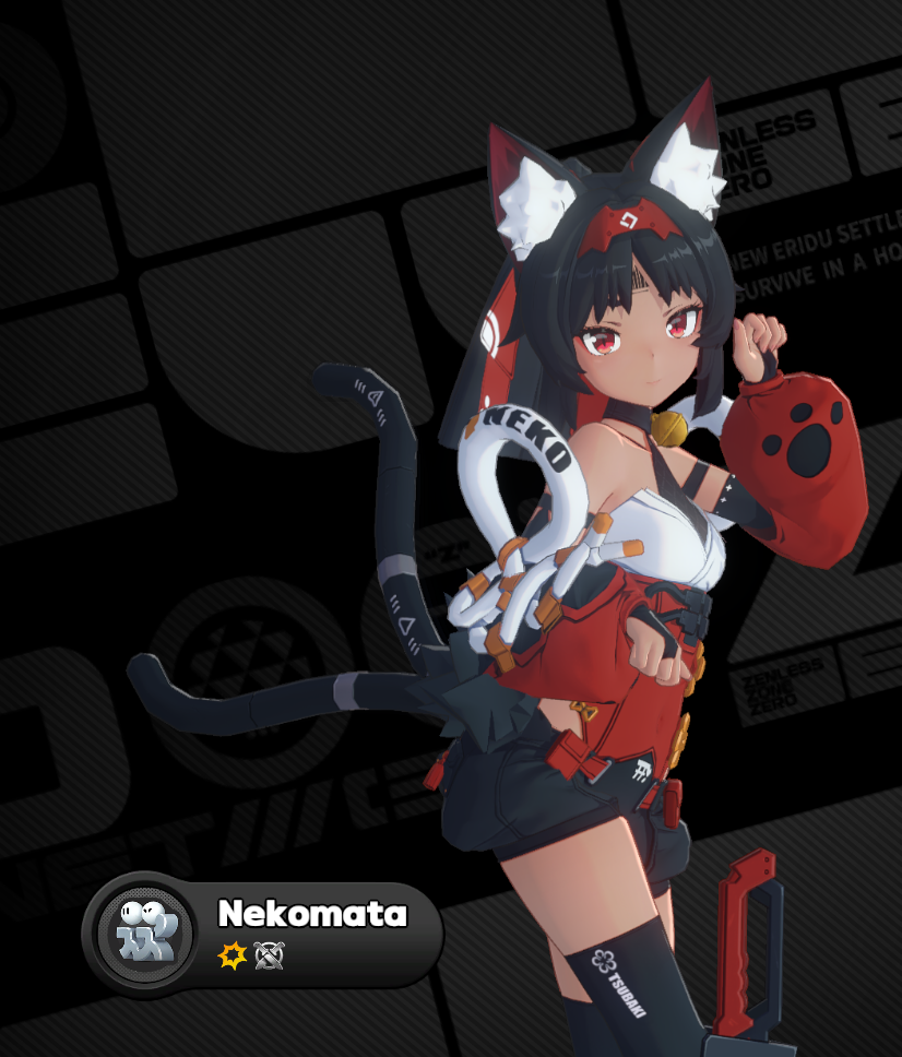 I went into ZZZ not necessarily NEEDING anyone until I played Nekomata ...