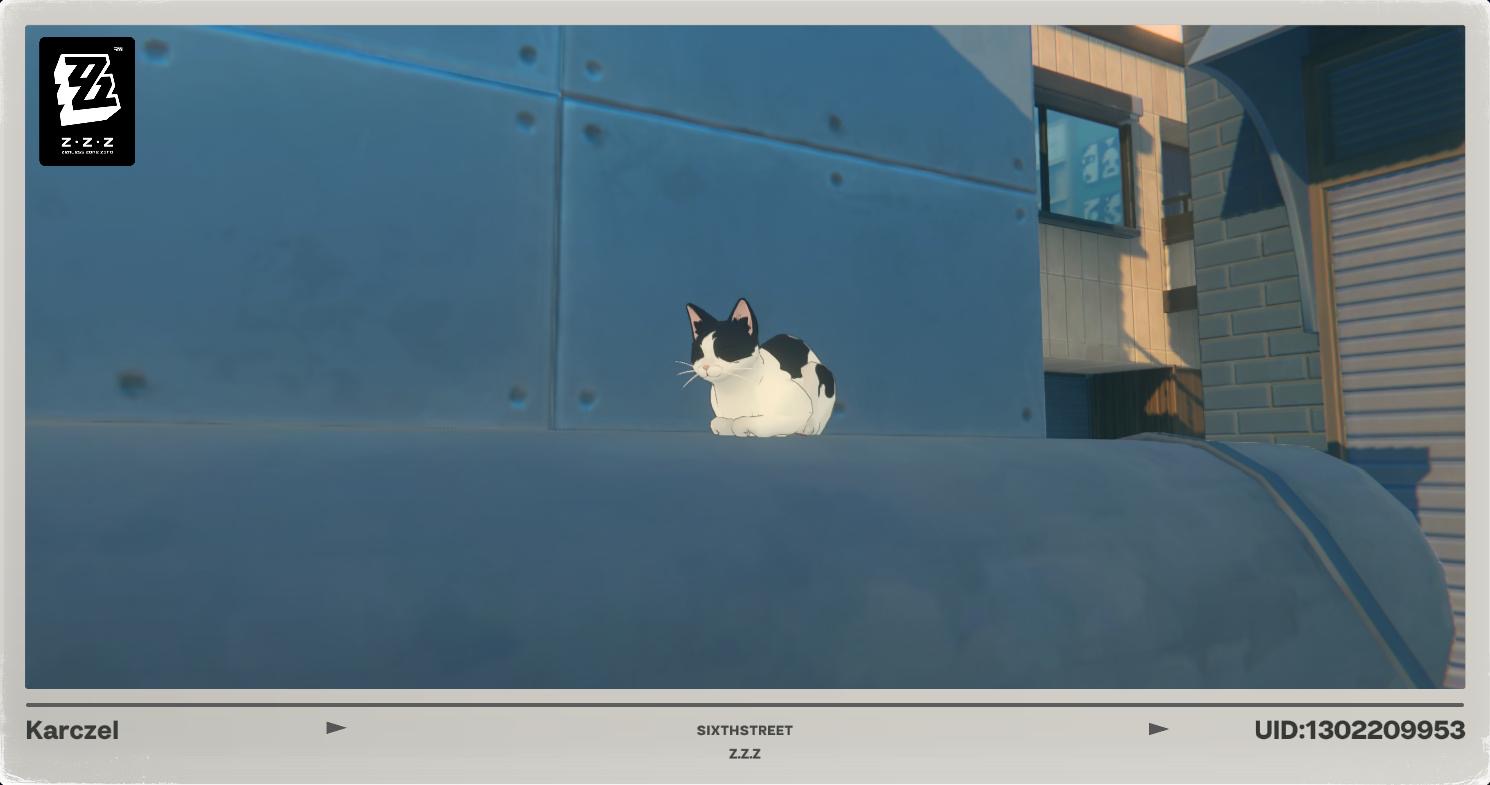 Cats Zenless Zone Zero | HoYoLAB