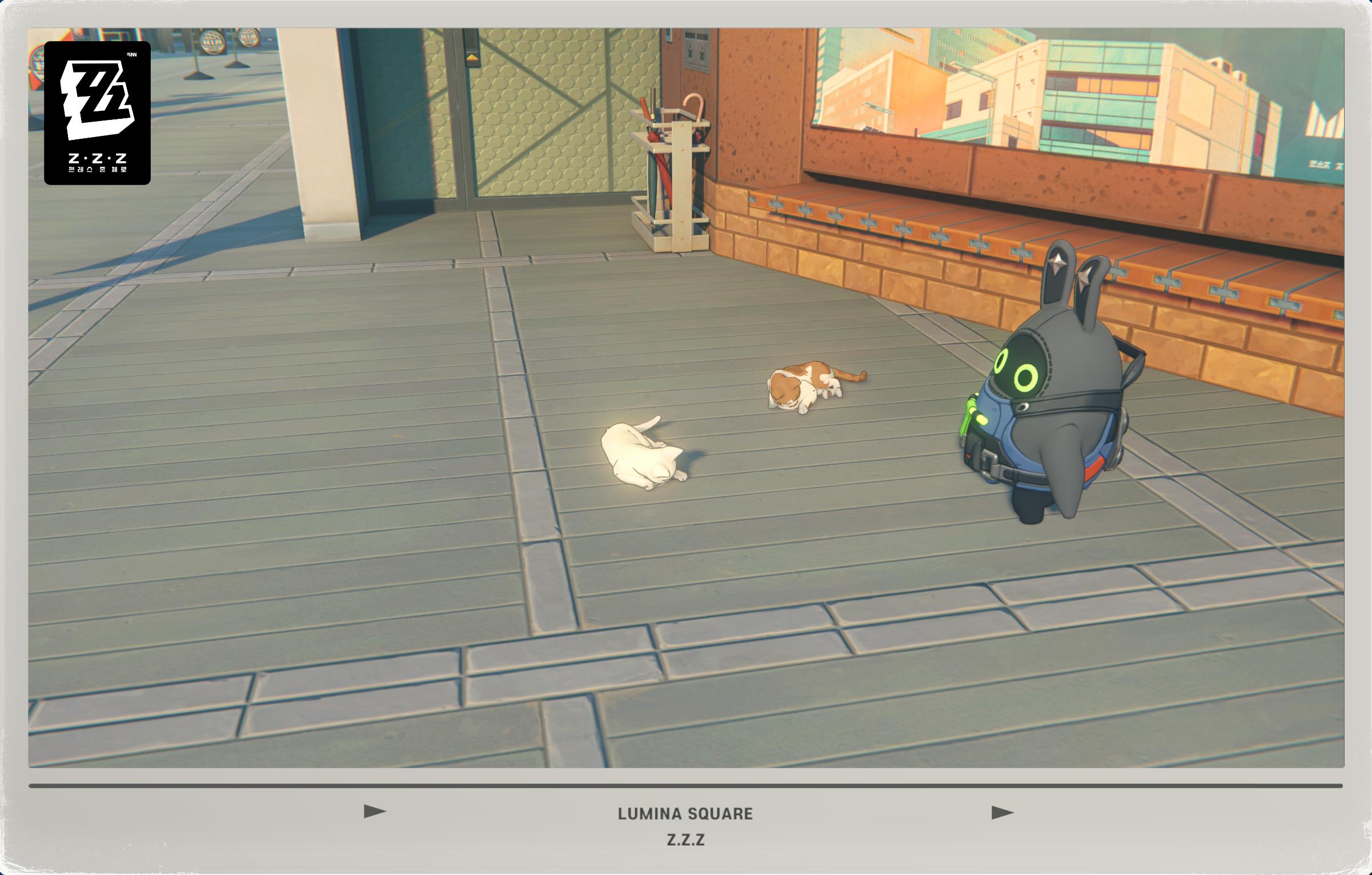 고양이 컬렉션 Zenless Zone Zero | HoYoLAB