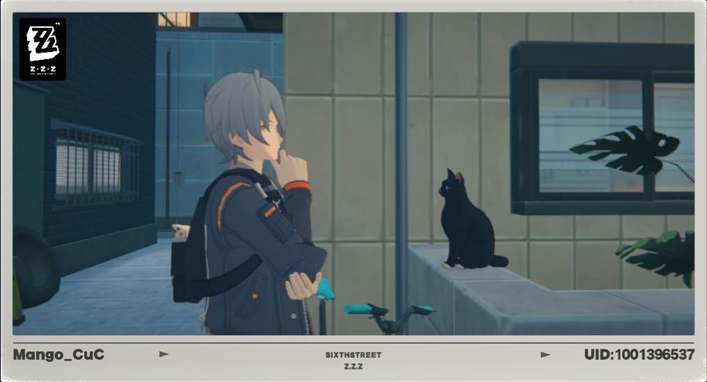 Wise with Cat Zenless Zone Zero | HoYoLAB