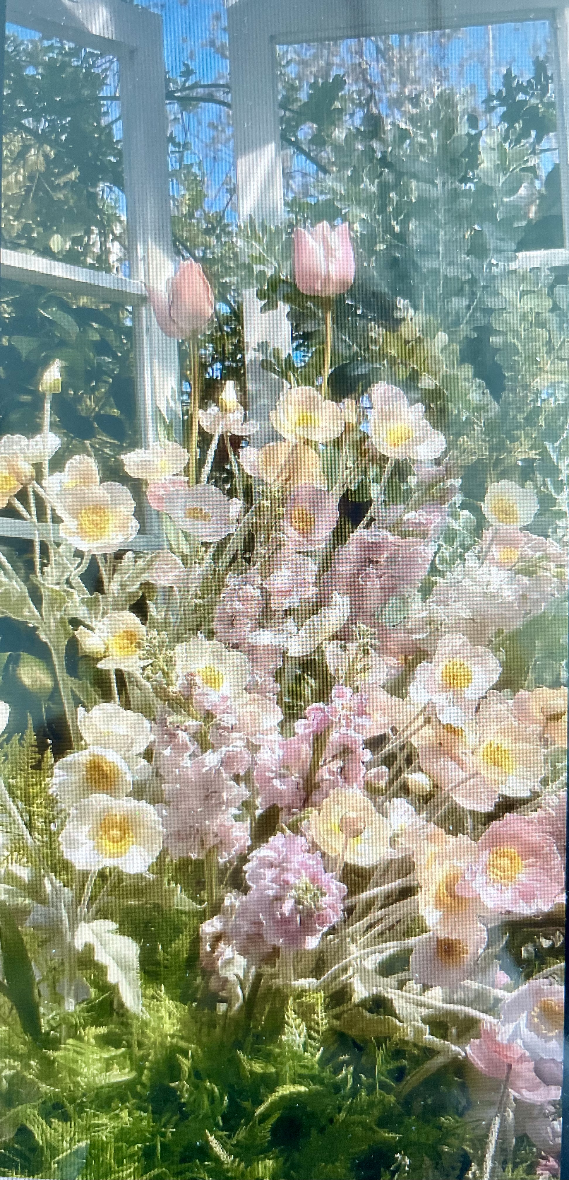 Flower / tulip lock screens! 💖🌷🌸 | HoYoLAB