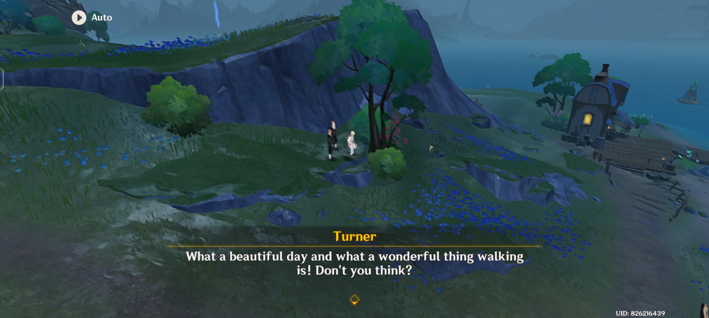 the normal NPCs in a quest. Genshin Impact | HoYoLAB