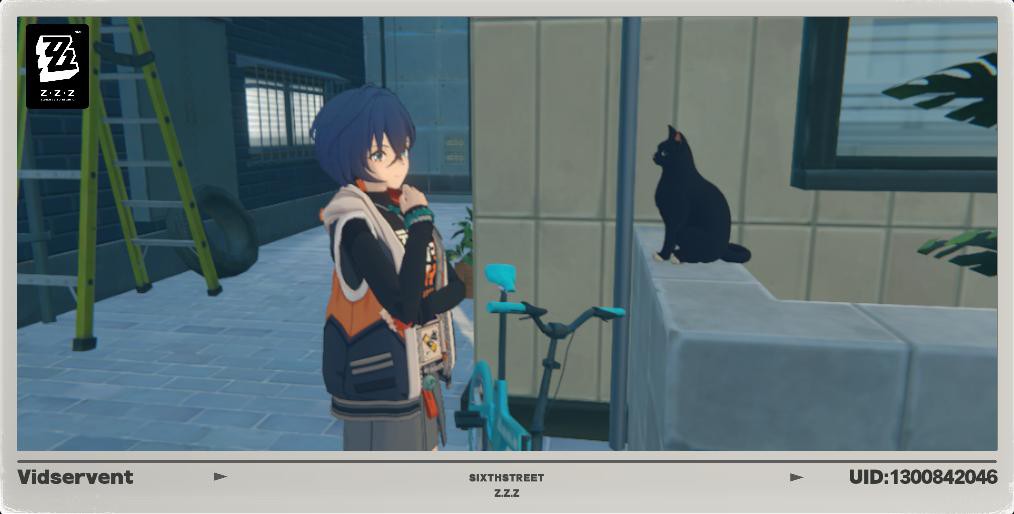 ZZZ Camera Pictures Zenless Zone Zero | HoYoLAB