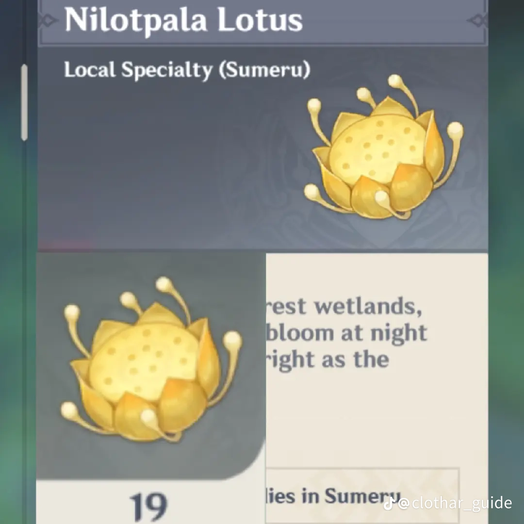Nilotpala Lotus Guide!! Genshin Impact | HoYoLAB