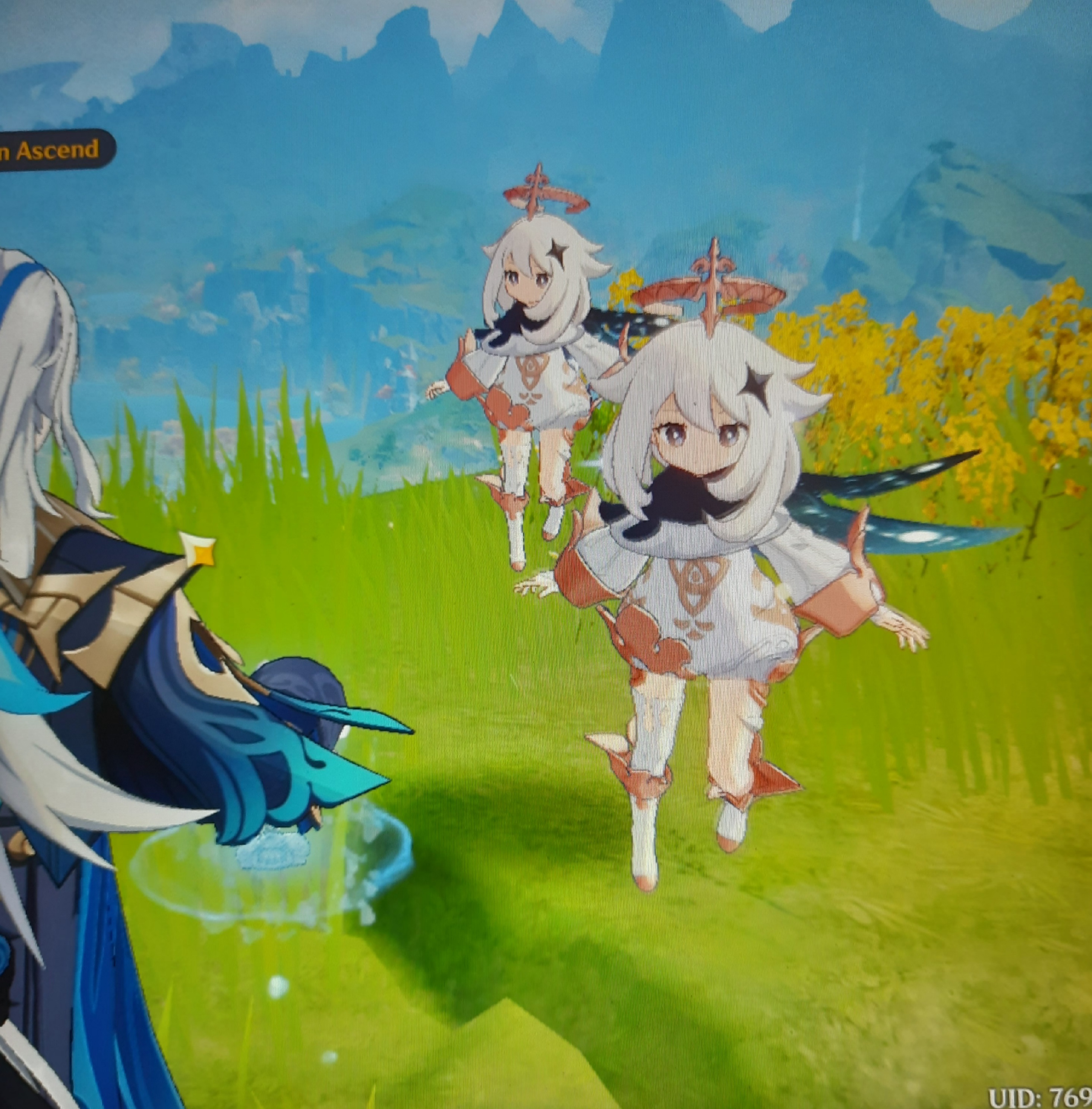 Double paimon Genshin Impact | HoYoLAB