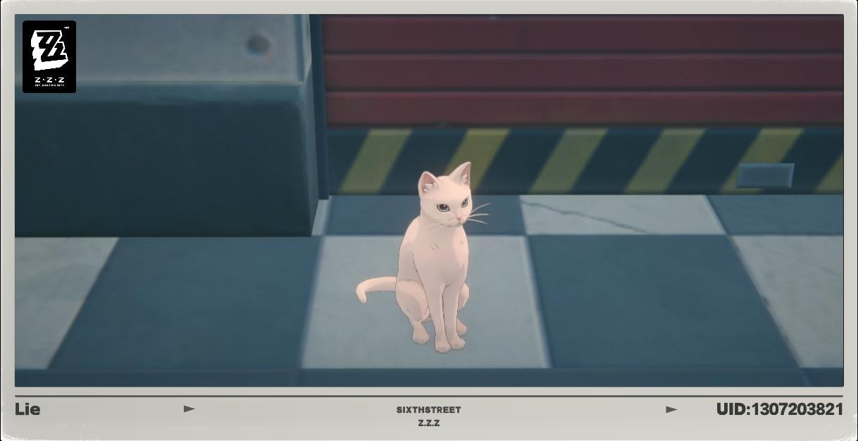 Cats Zenless Zone Zero | HoYoLAB