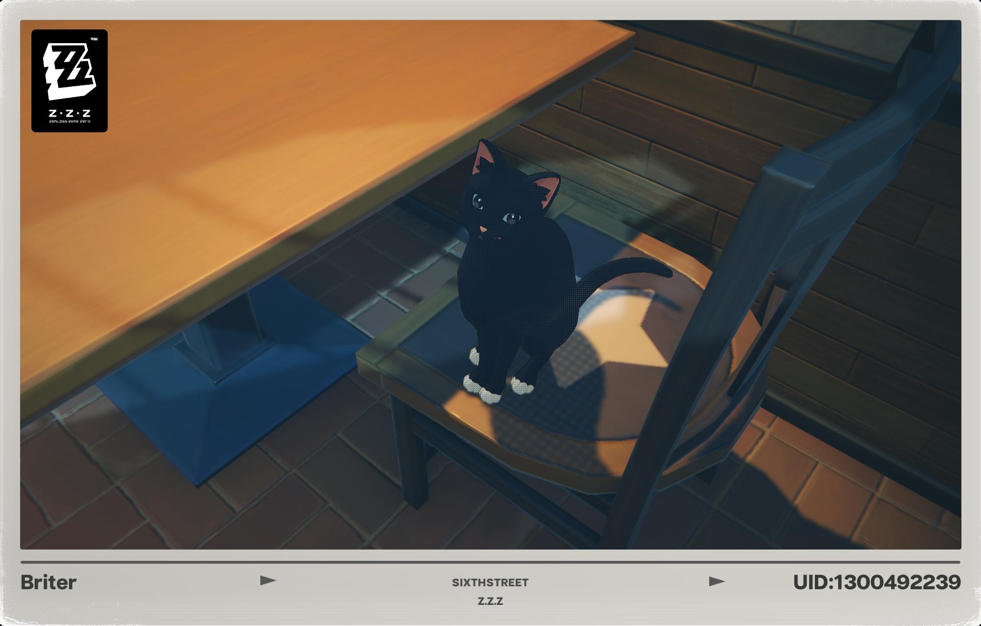 Cat is justice! Zenless Zone Zero | HoYoLAB