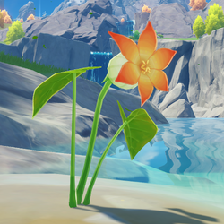 Genshin flowers are so coo- wait what Genshin Impact | HoYoLAB