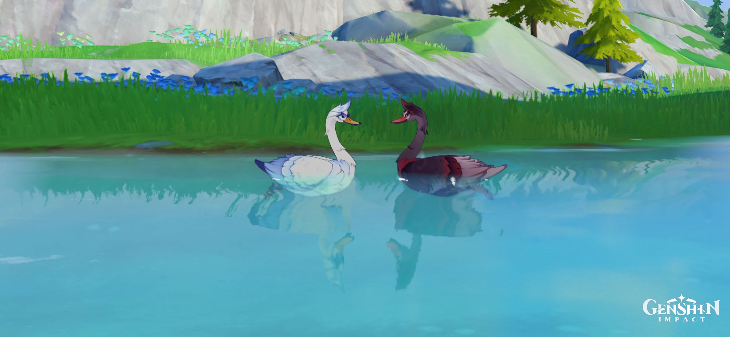 Found two swans together in Fontaine 🦢 Genshin Impact | HoYoLAB