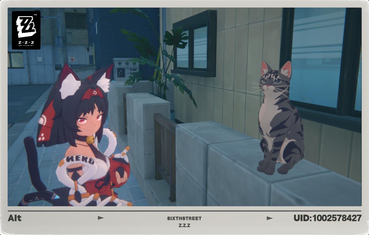 just two cats :P Zenless Zone Zero | HoYoLAB