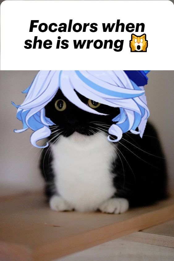 DAILY FURINA MEMES🪽🌀 Genshin Impact | HoYoLAB