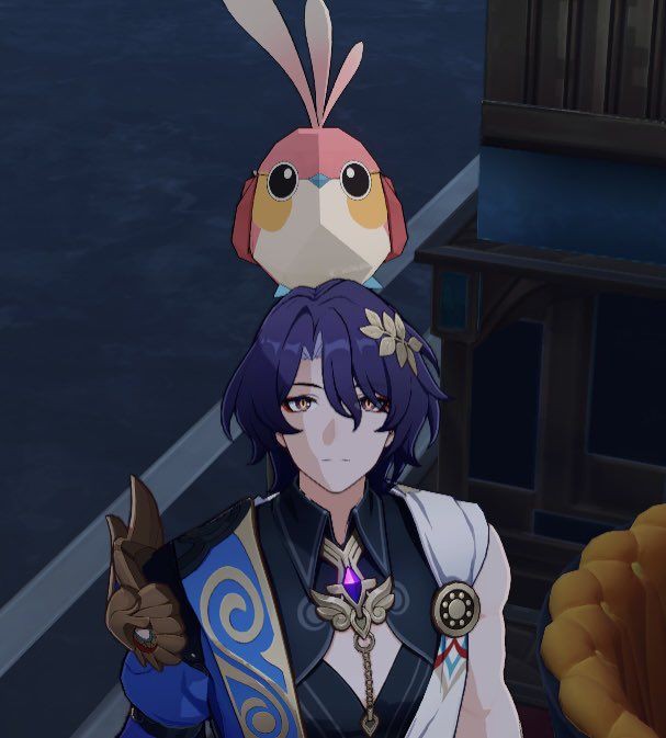 Me saving lot of stellar jade thinking that dr. ratio get rerun but it ...