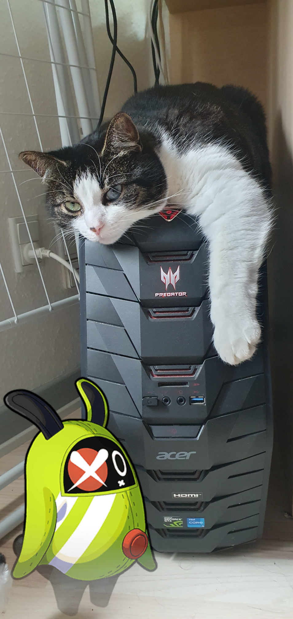 Since the game has so many cats, here's mine! Zenless Zone Zero | HoYoLAB