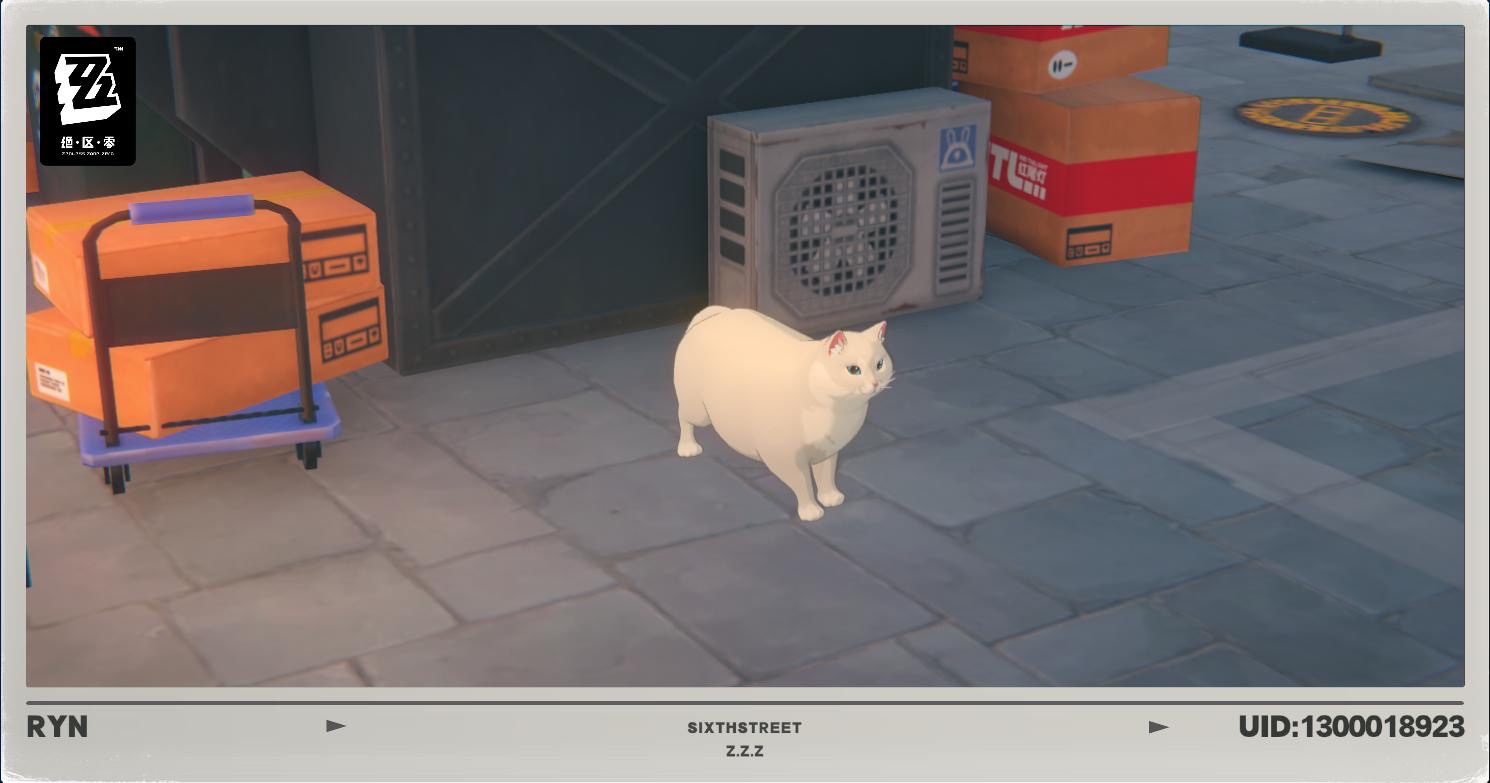 Look at her! Guess where did I find this chonky cat? Zenless Zone Zero ...