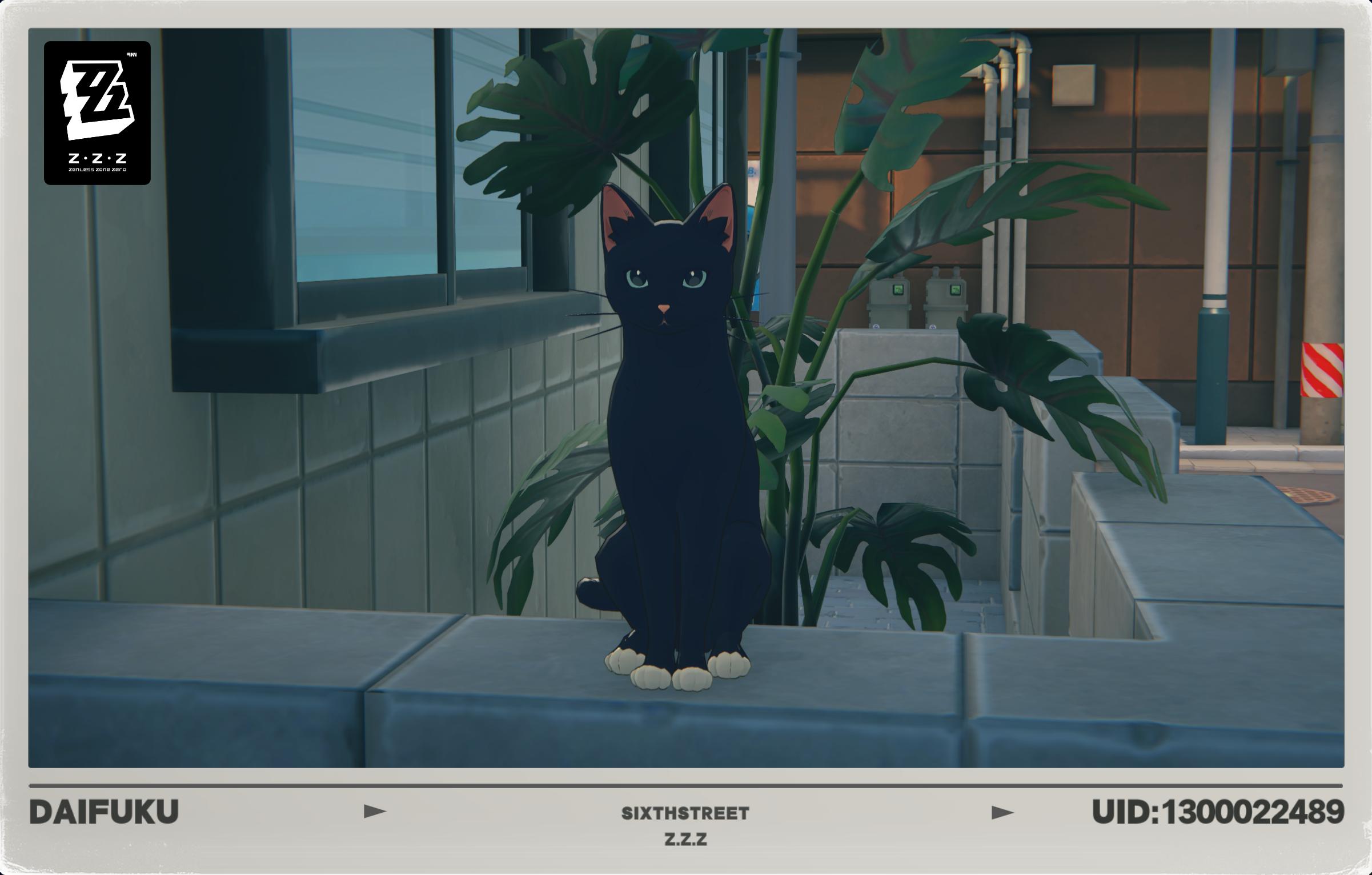 CAT!!! Zenless Zone Zero | HoYoLAB