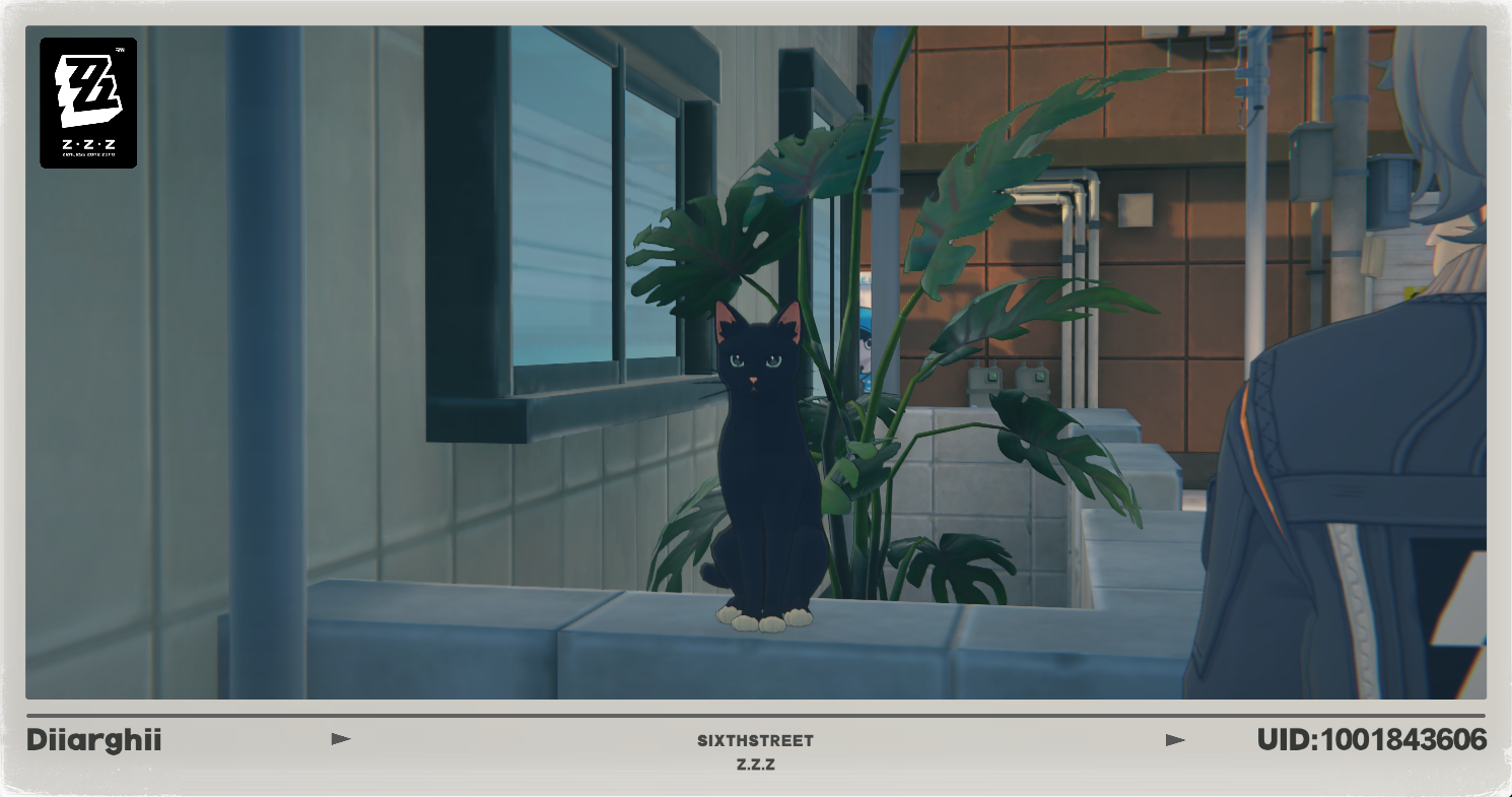 The infamous black cat Zenless Zone Zero | HoYoLAB