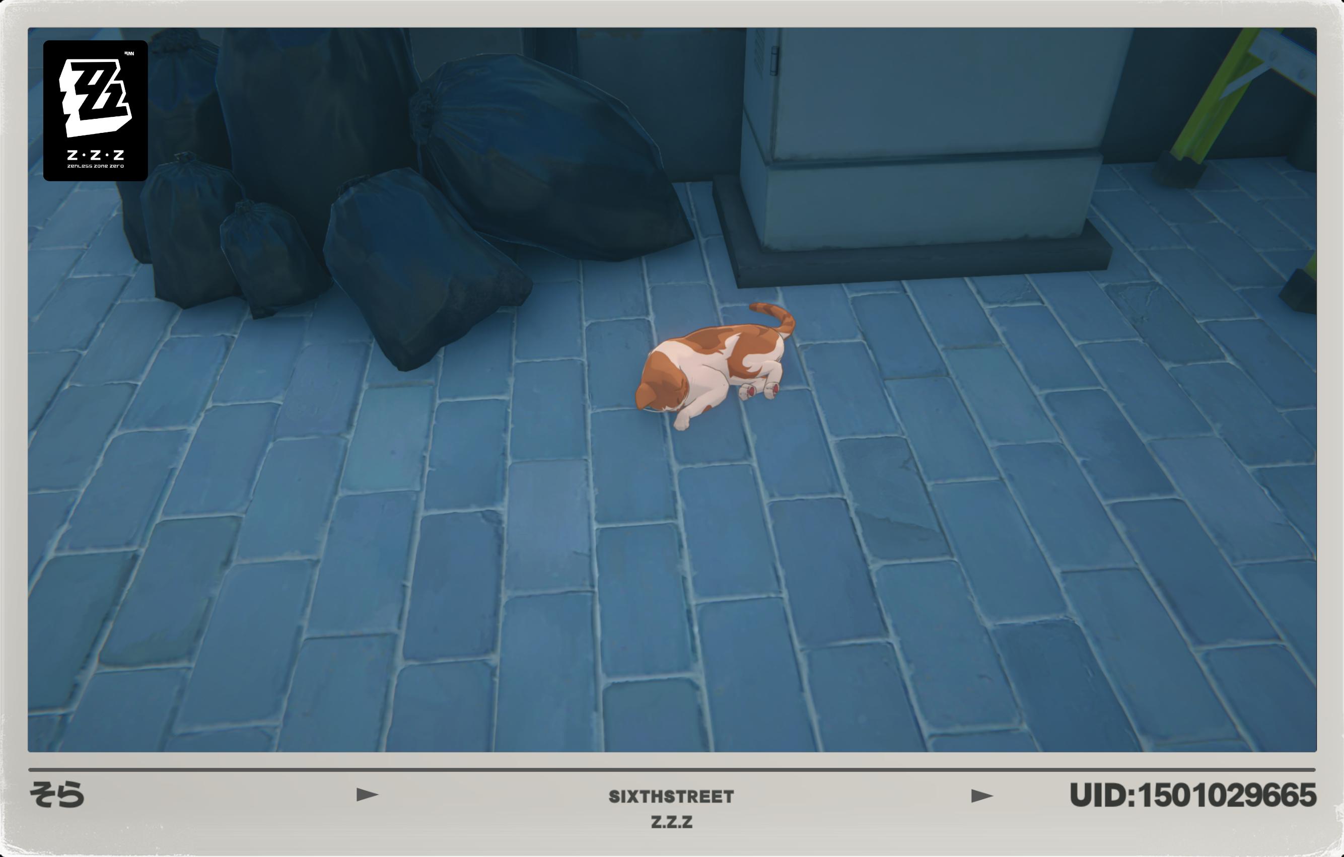 Cats Zenless Zone Zero | HoYoLAB