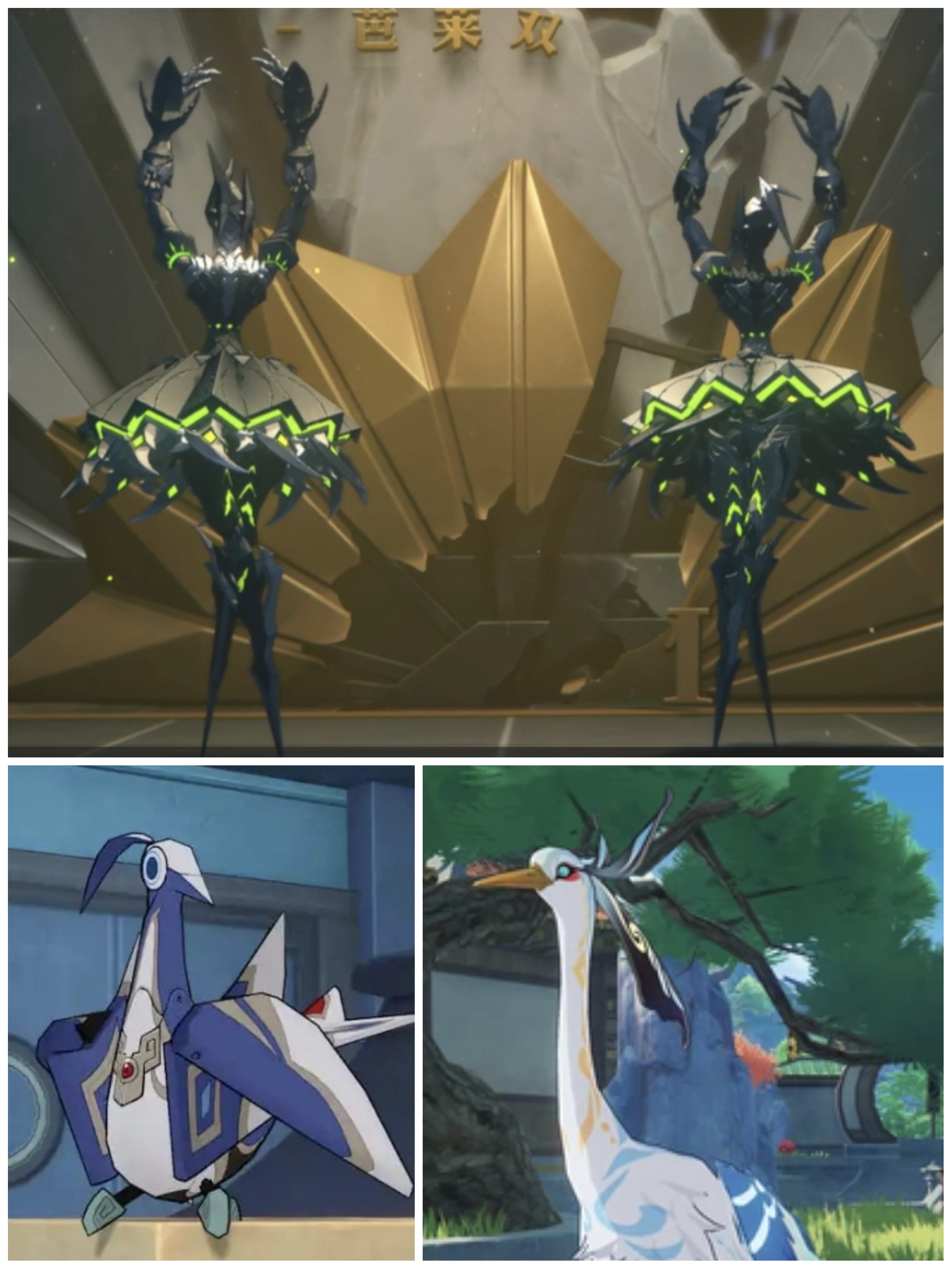 ZZZ brought the Birds to a whole new level🐦 (and yeah it was pure pain ...