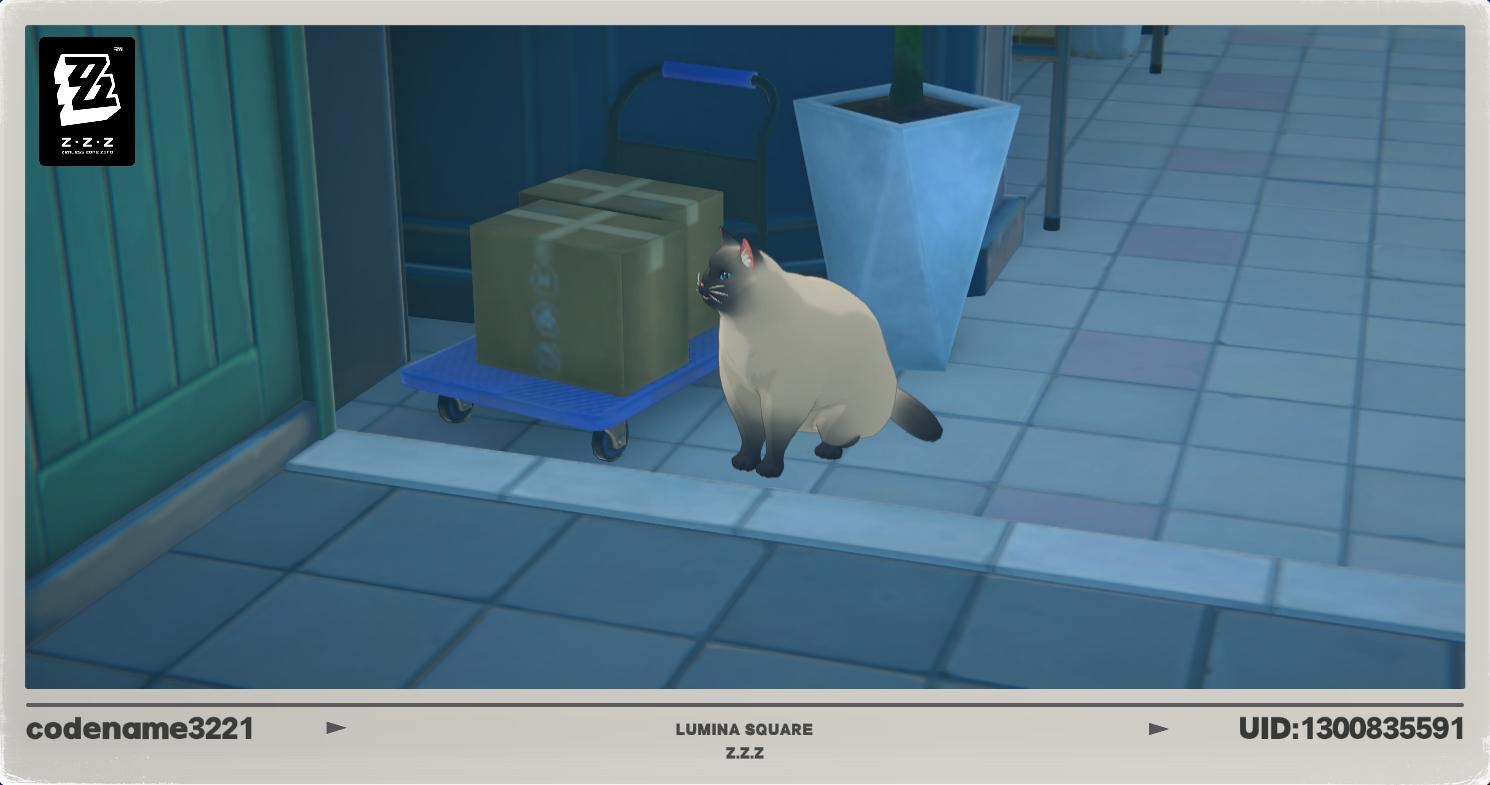 Cat in ZZZ Zenless Zone Zero | HoYoLAB